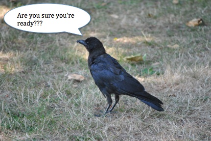 Crow facts