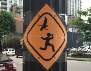 Crow curiosities: Why was I attacked by a crow?