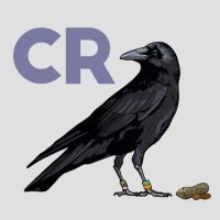 crow vision
