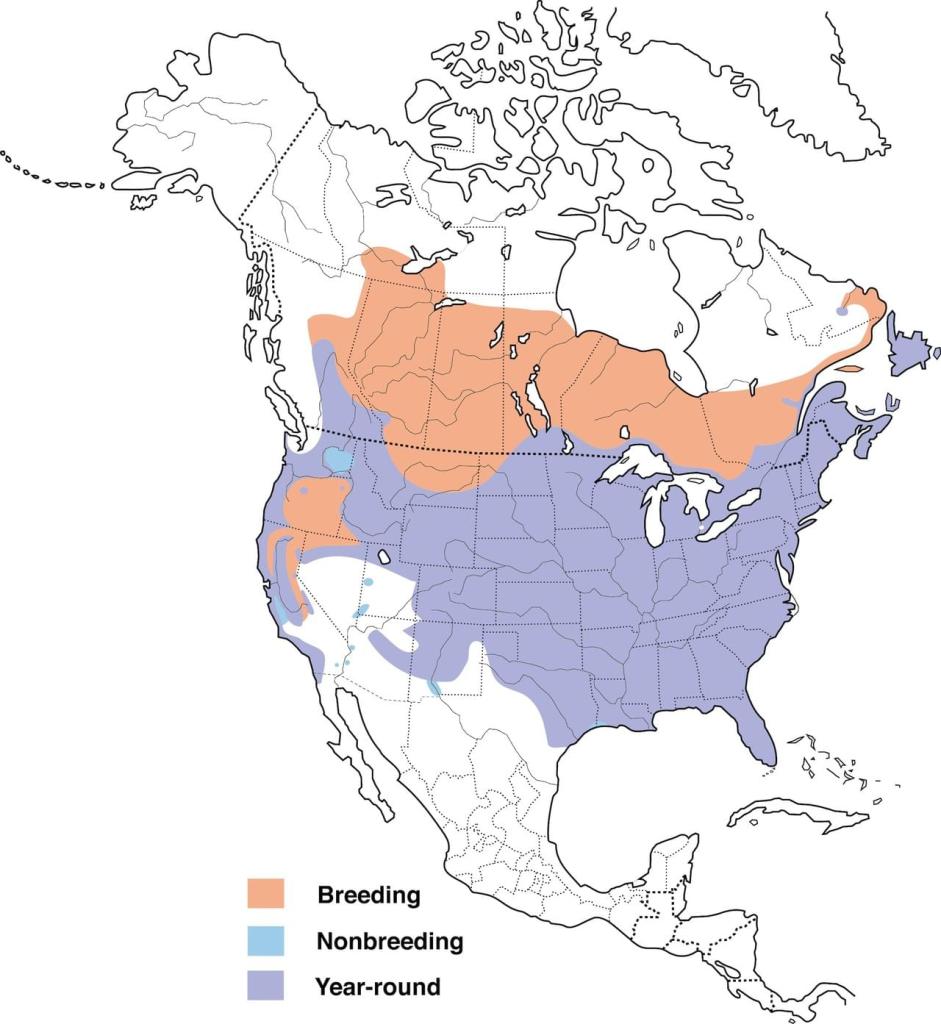 American crow range map